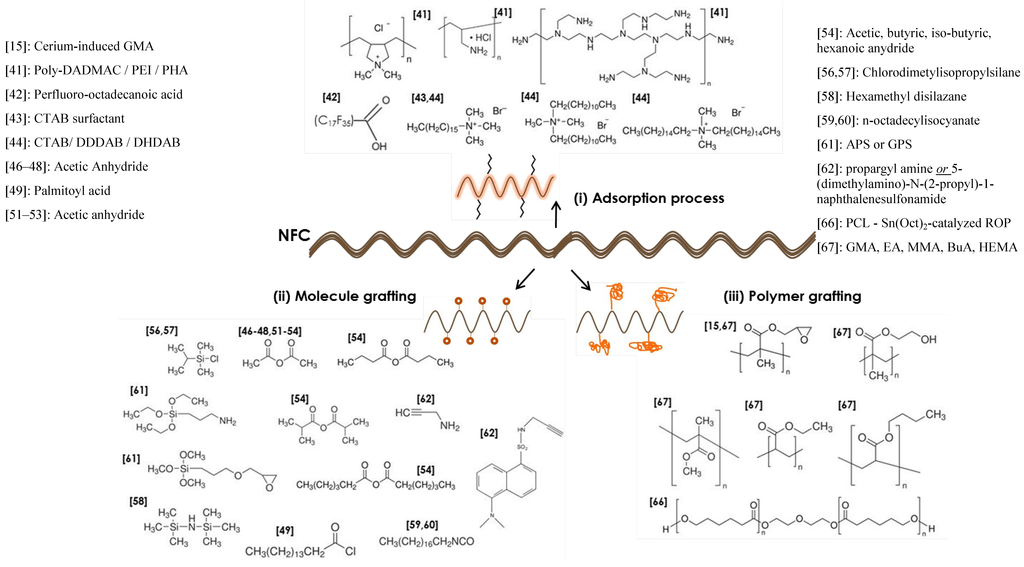 Nanofibrillated Cellulose Surface Modification: A Review