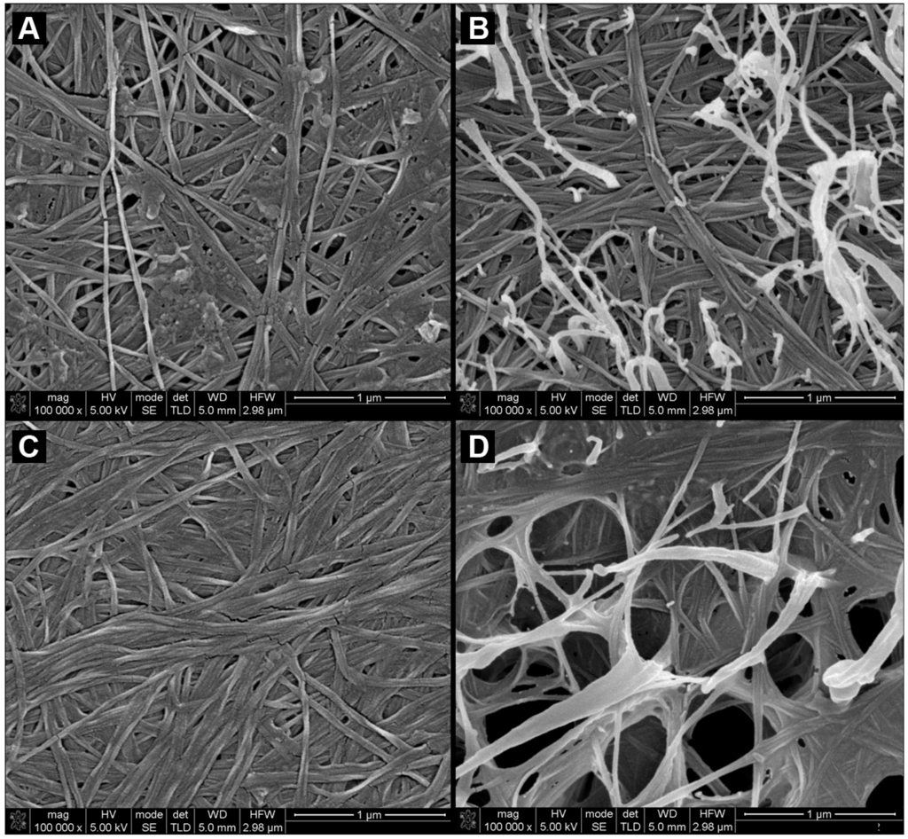 Materials | Special Issue : Advances in Cellulosic Materials