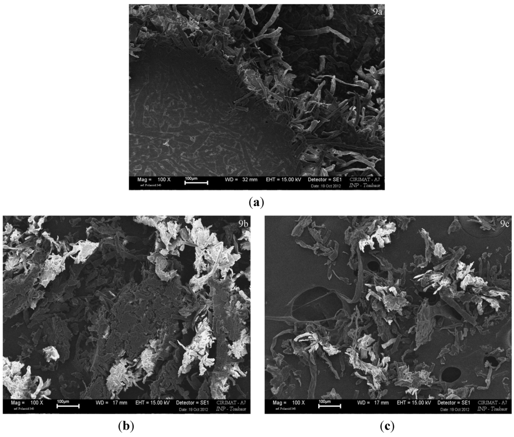 Materials | Special Issue : Advances in Cellulosic Materials