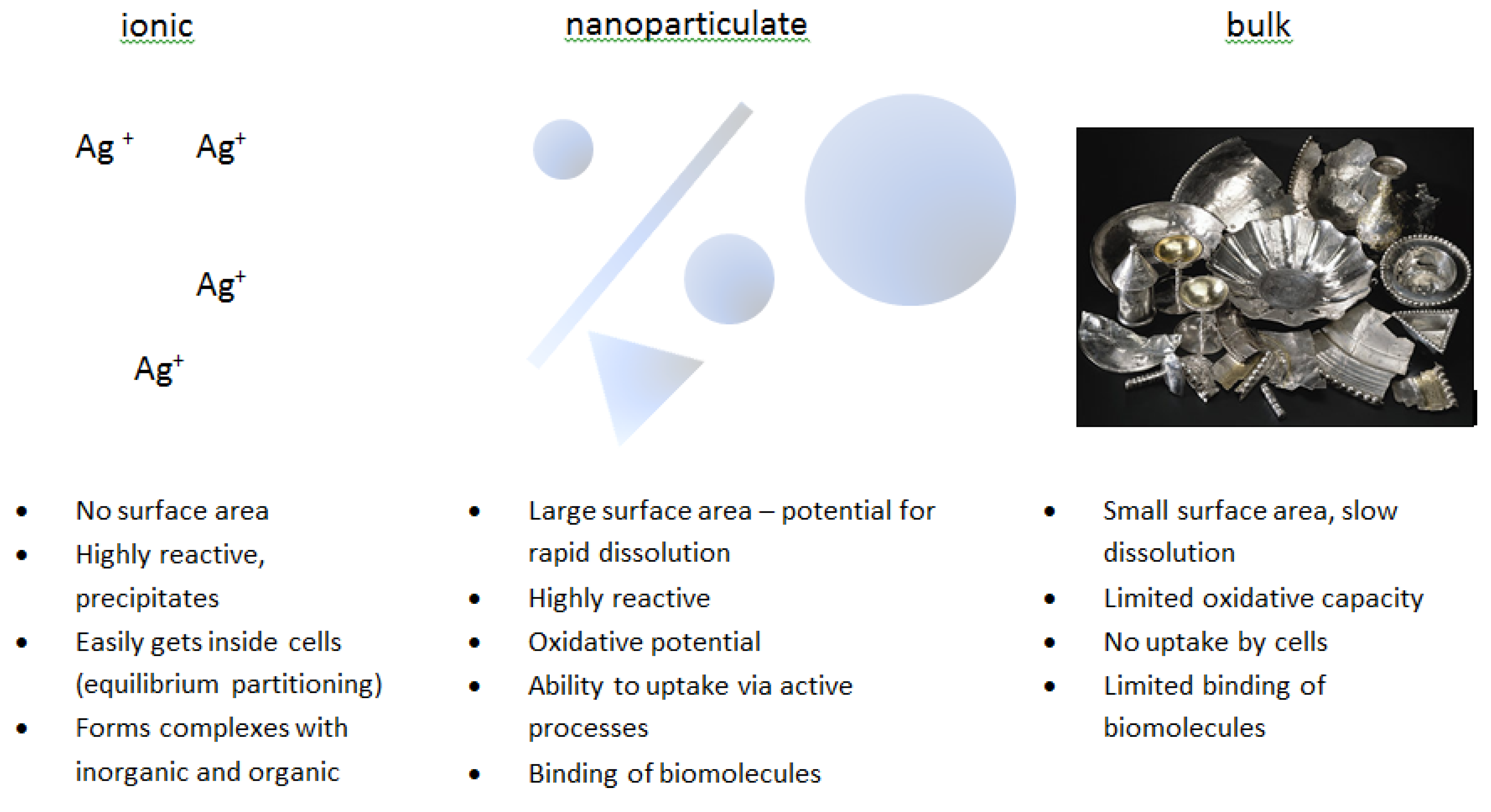 Mechanisms of Silver Nanoparticle Release, Transformation and Toxicity ...