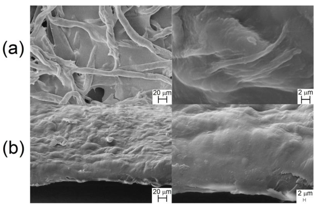 Materials | Special Issue : Advances in Cellulosic Materials