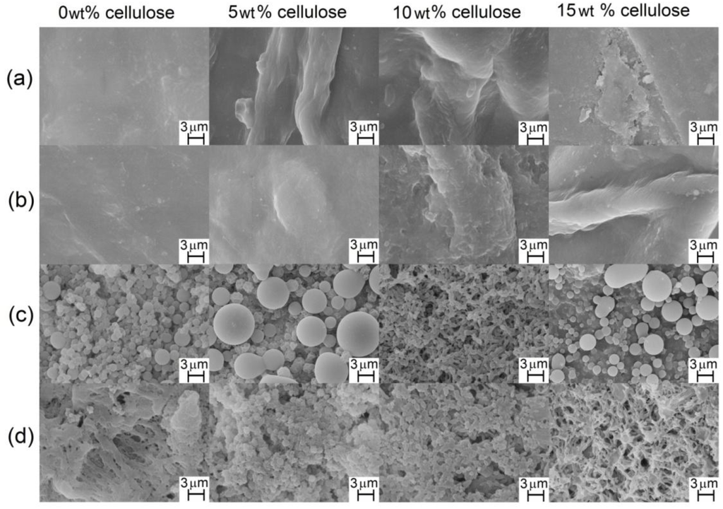 Bio-based Films from Linter Cellulose and Its Acetates: Formation and ...