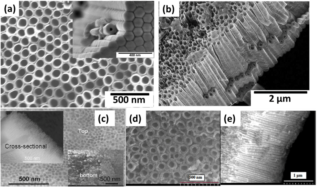 Self-Ordered Titanium Dioxide Nanotube Arrays: Anodic Synthesis and Their Photo/Electro ...