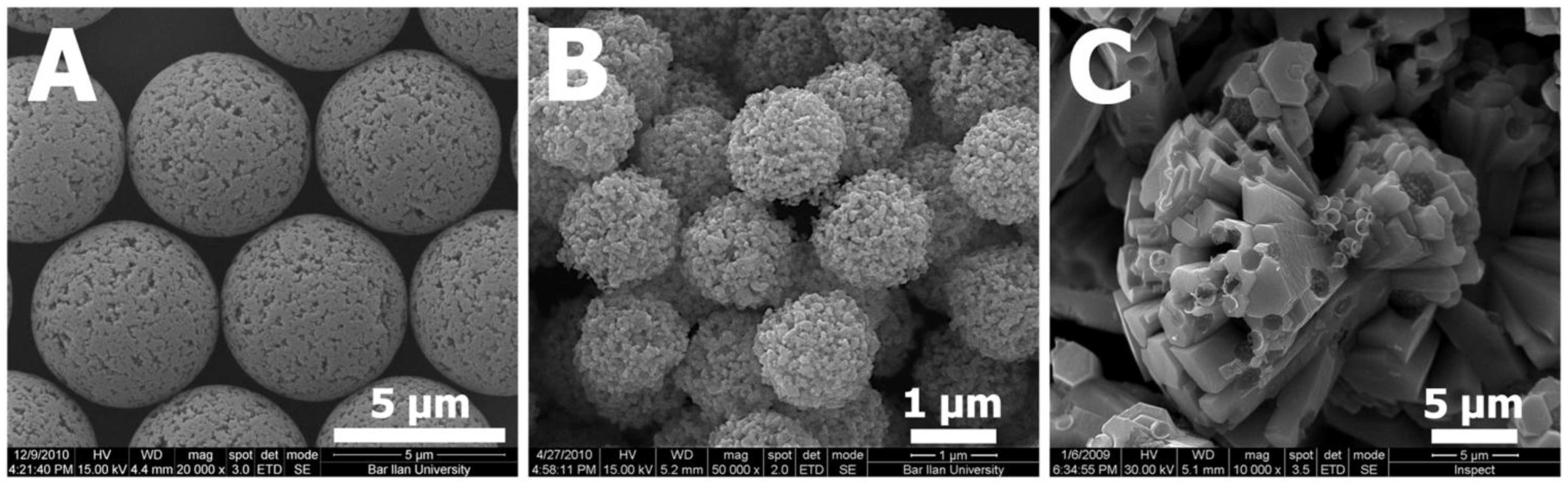 Preparation of “Cauliflower-Like” ZnO Micron-Sized Particles