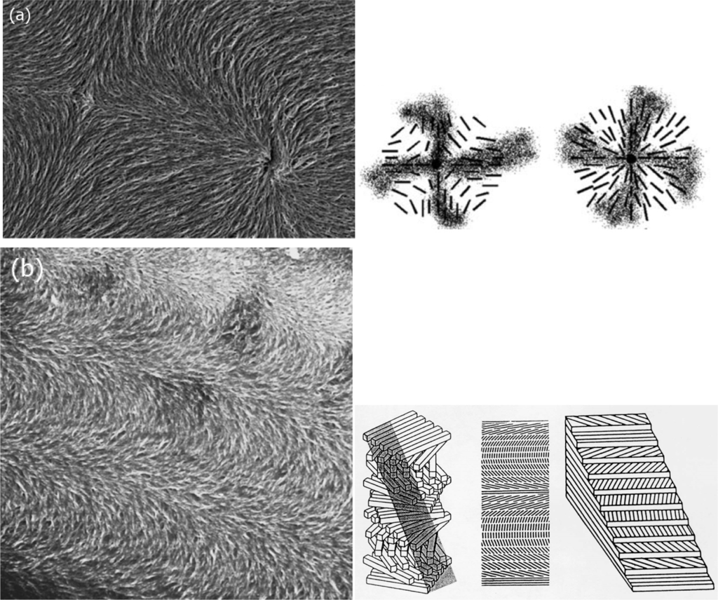 A Review of Polymer-Stabilized Ferroelectric Liquid Crystals