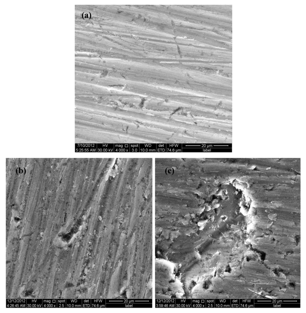 Corrosion Behavior of Titanium in Artificial Saliva by Lactic Acid