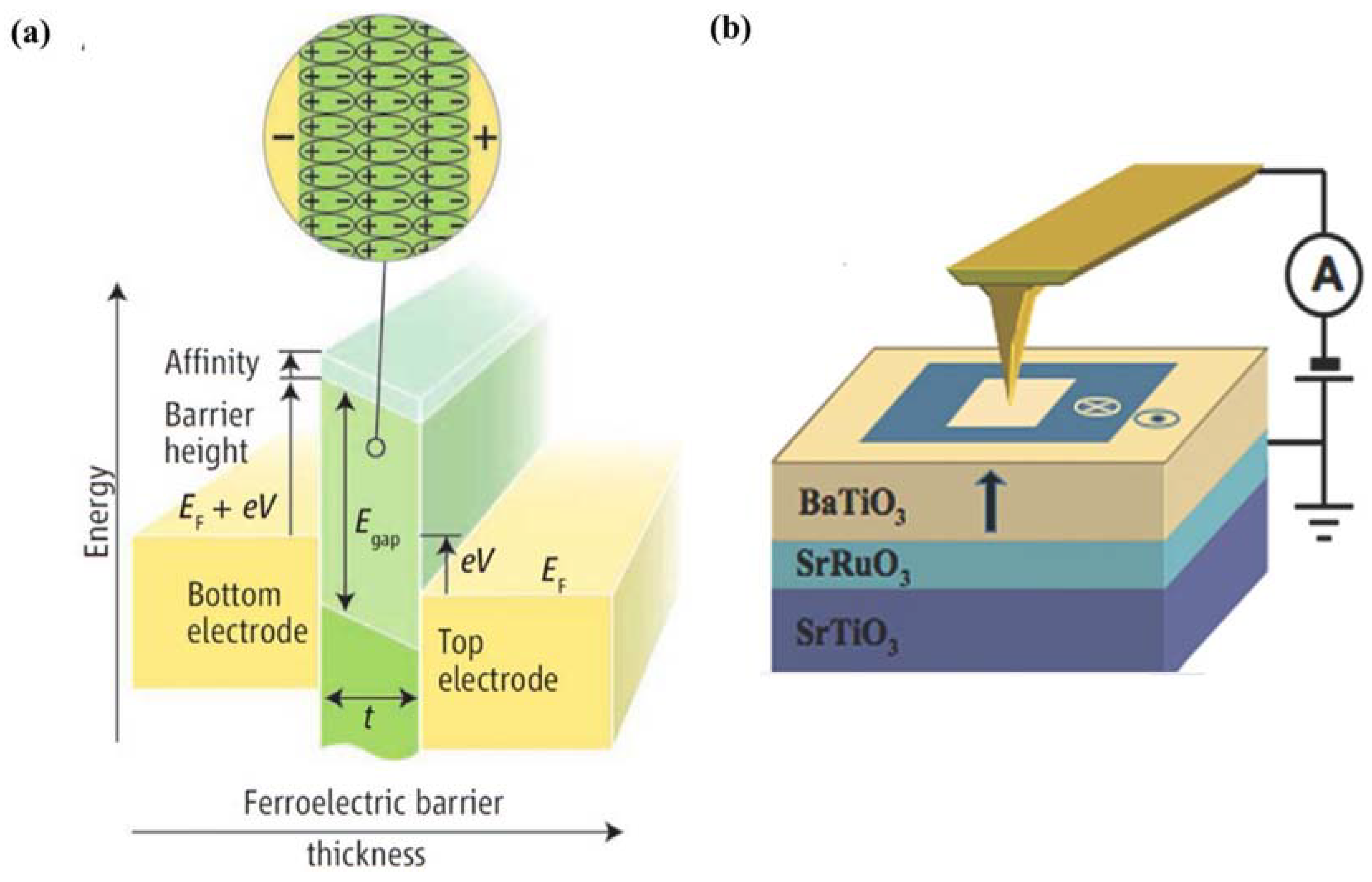 Ultrathin Ferroelectric Films: Growth, Characterization, Physics and ...