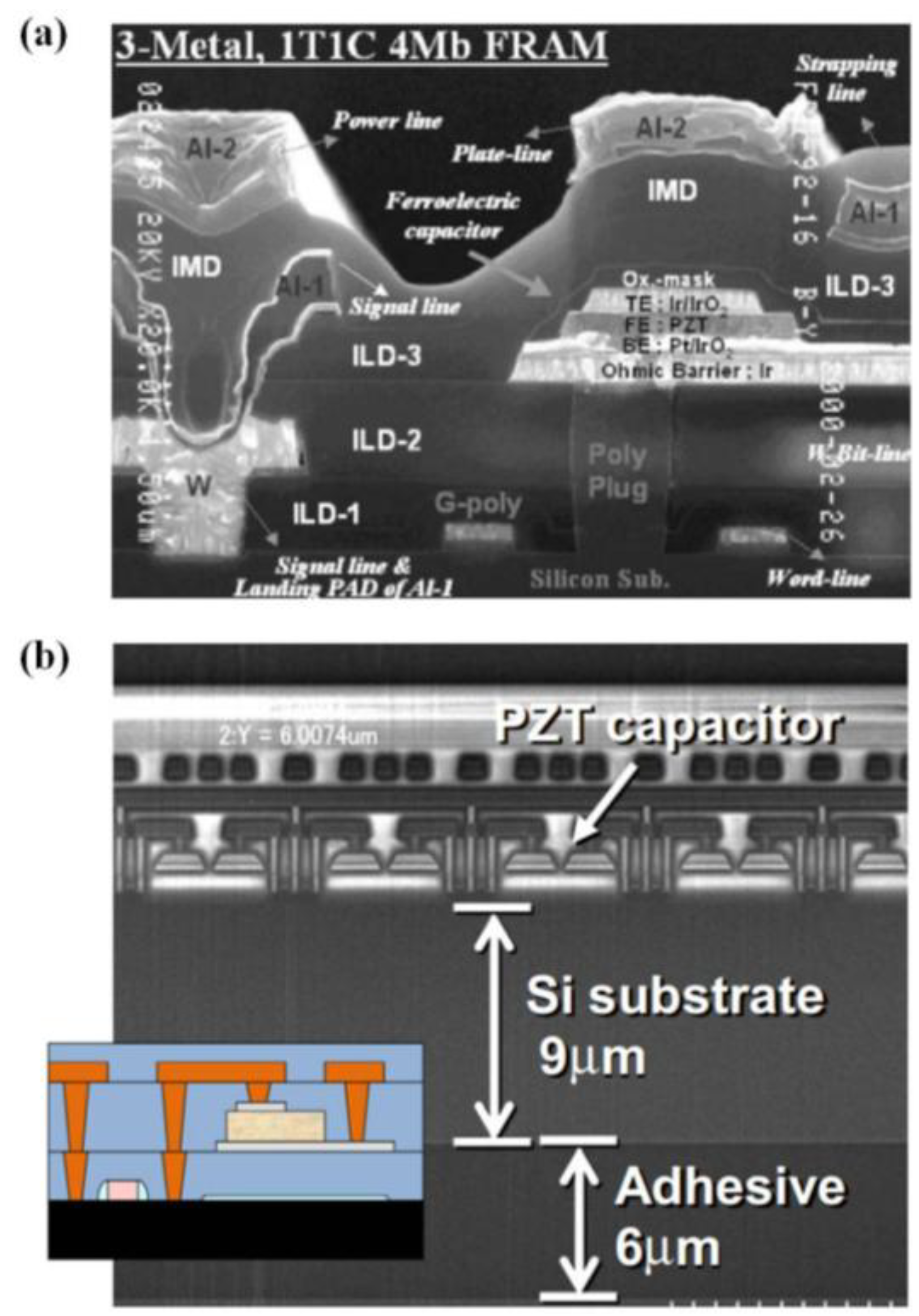 Ultrathin Ferroelectric Films: Growth, Characterization, Physics and ...