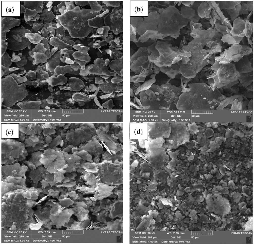 Matrix Structure Evolution and Nanoreinforcement Distribution in ...