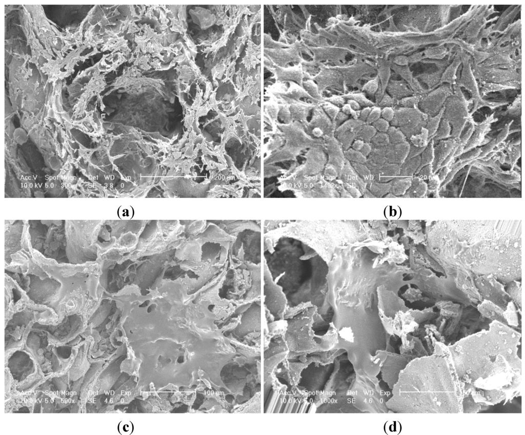 Materials | Special Issue : Bioceramics