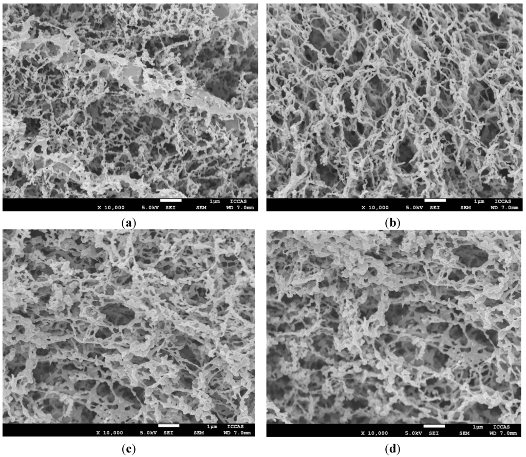 Conductive Polymer Porous Film with Tunable Wettability and Adhesion