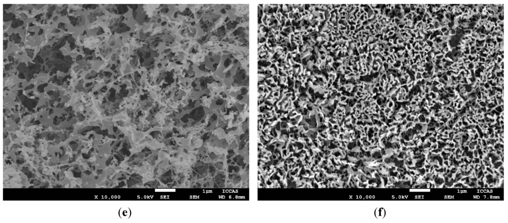 Conductive Polymer Porous Film with Tunable Wettability and Adhesion