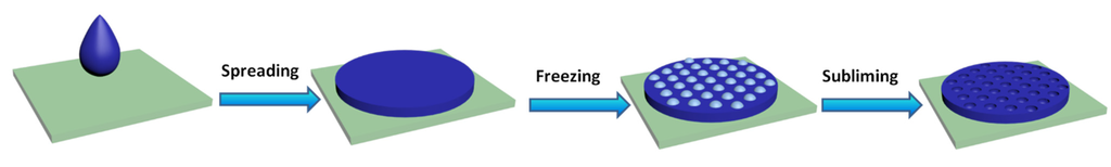 Conductive Polymer Porous Film with Tunable Wettability and Adhesion