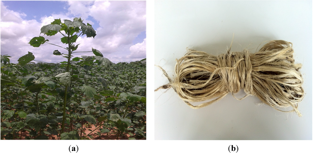 How Properties of Kenaf Fibers from Burkina Faso Contribute to the ...