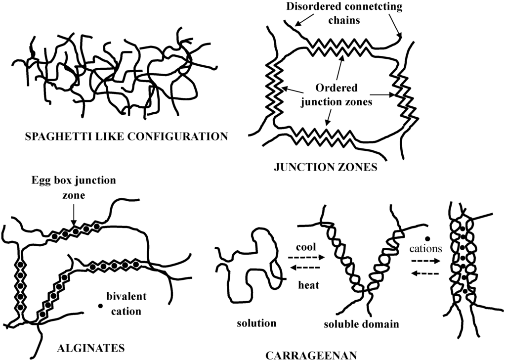 Polysaccharides for the Delivery of Antitumor Drugs