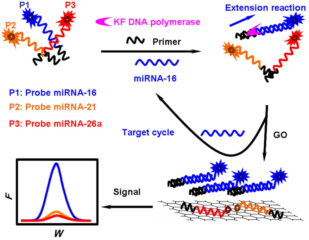 Nanomaterials-Based Fluorimetric Methods for MicroRNAs Detection