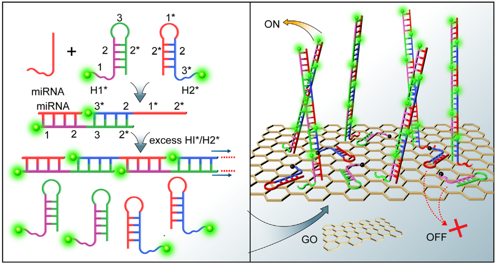 Nanomaterials-Based Fluorimetric Methods for MicroRNAs Detection