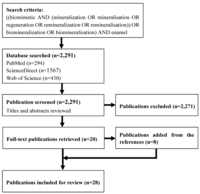 Materials | Free Full-Text | Methods for Biomimetic Mineralisation of ...