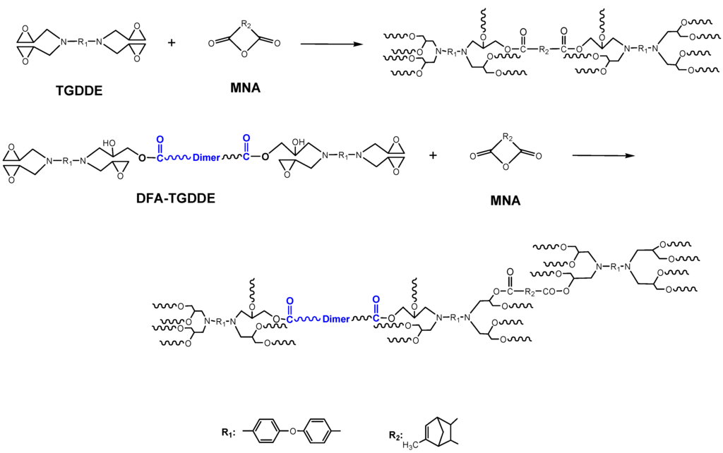 The Modification of a Tetrafunctional Epoxy and Its Curing Reaction