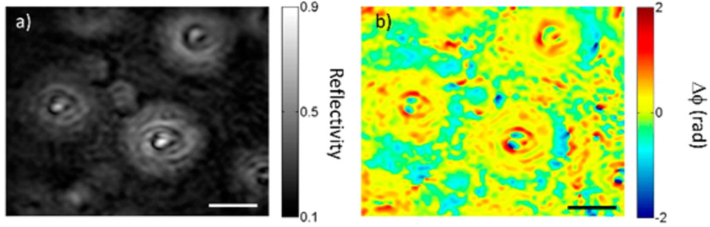 Nano Sensing and Energy Conversion Using Surface Plasmon Resonance (SPR)