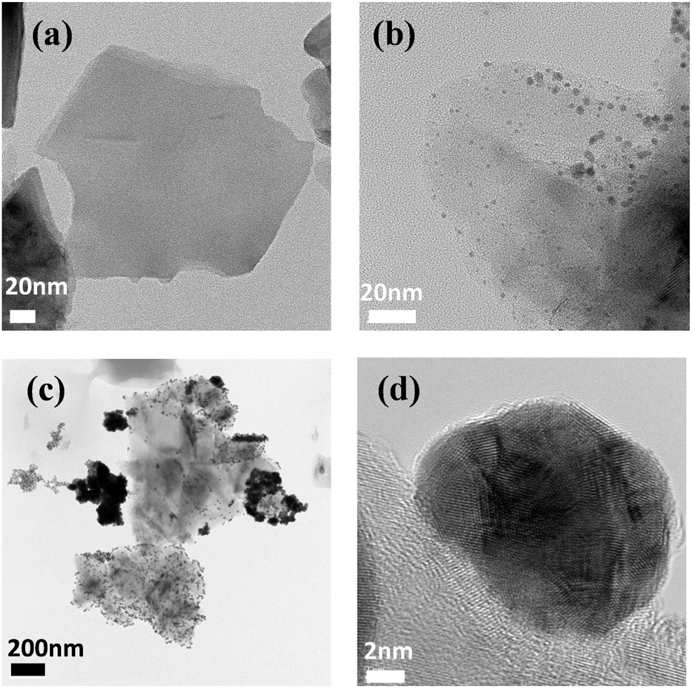 Metal Nanoparticle-Decorated Two-Dimensional Molybdenum Sulfide for ...