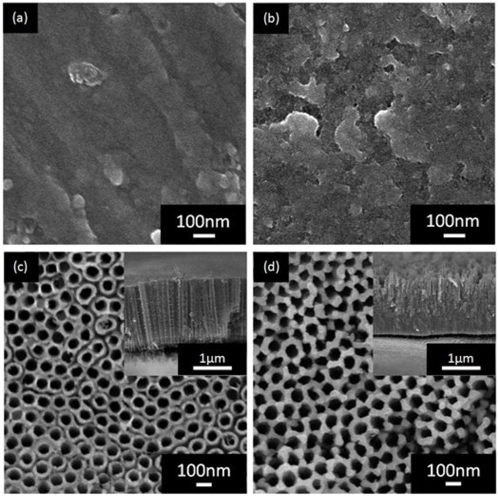 In Situ Anodization of WO3-Decorated TiO2 Nanotube Arrays for Efficient ...
