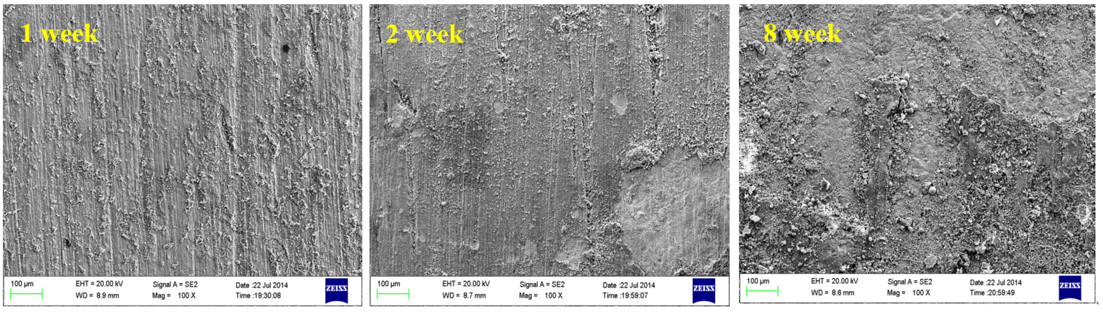 Accelerated Degradation Test and Predictive Failure Analysis of B10 ...