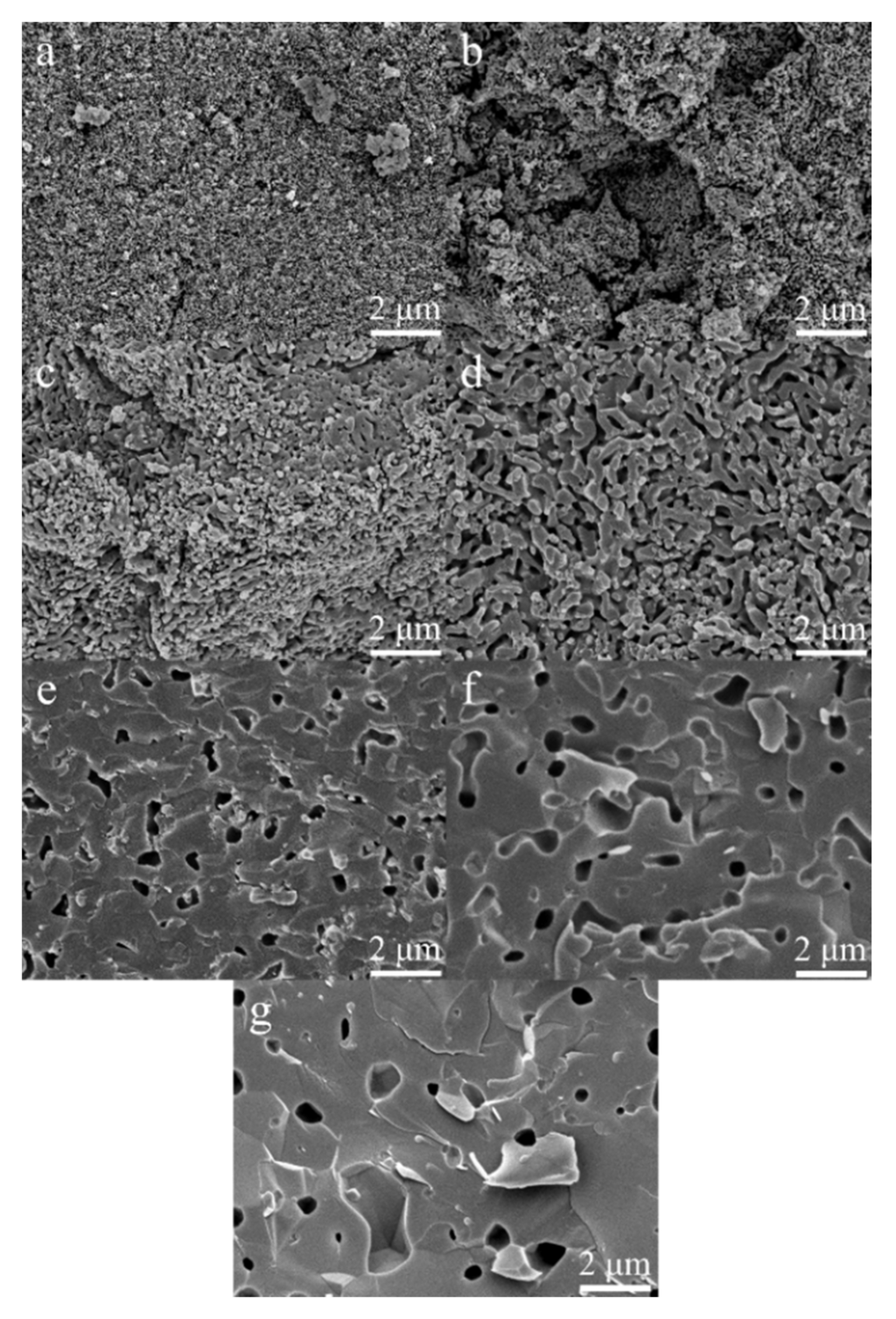 A Comparative Study of the Sintering Behavior of Pure and Manganese ...