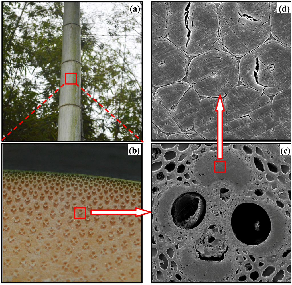 Influence of Surface Modification on the Microstructure and Thermo ...