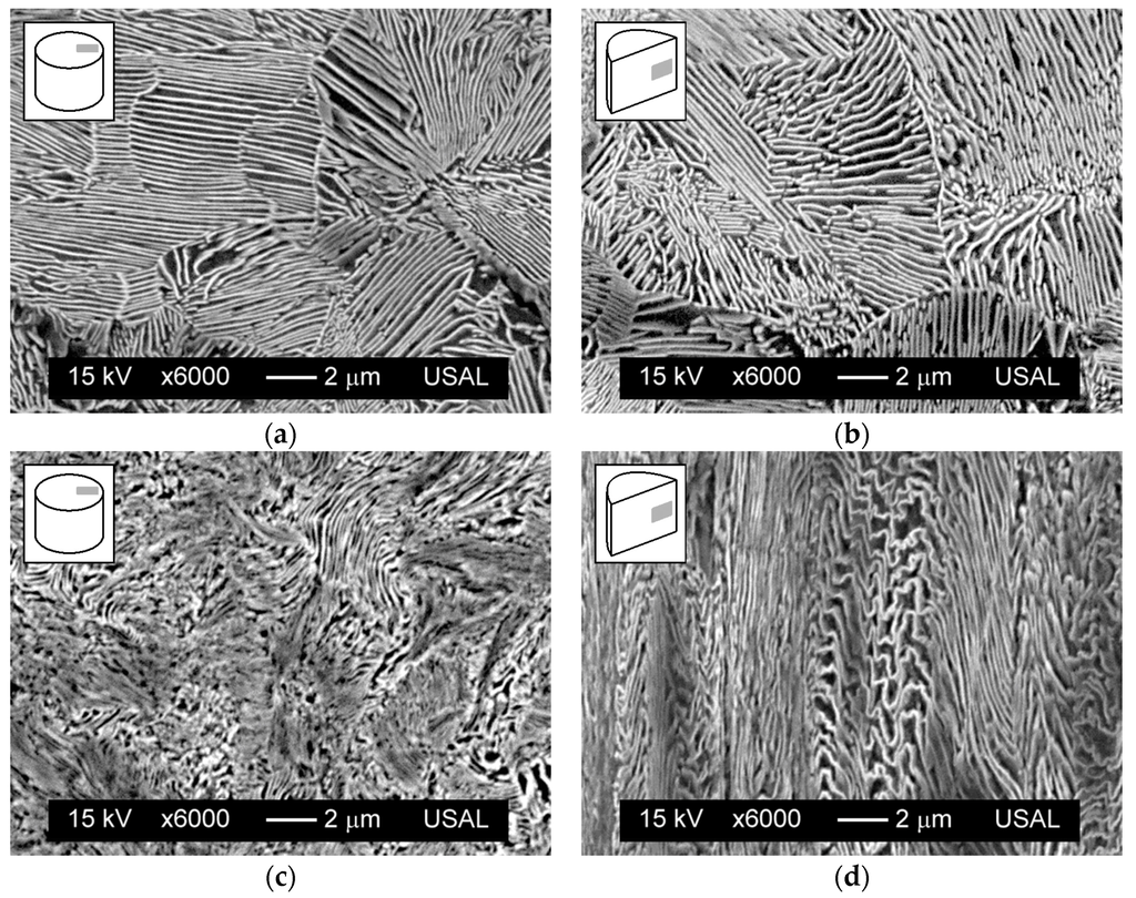 Analysis of Fatigue Crack Paths in Cold Drawn Pearlitic Steel
