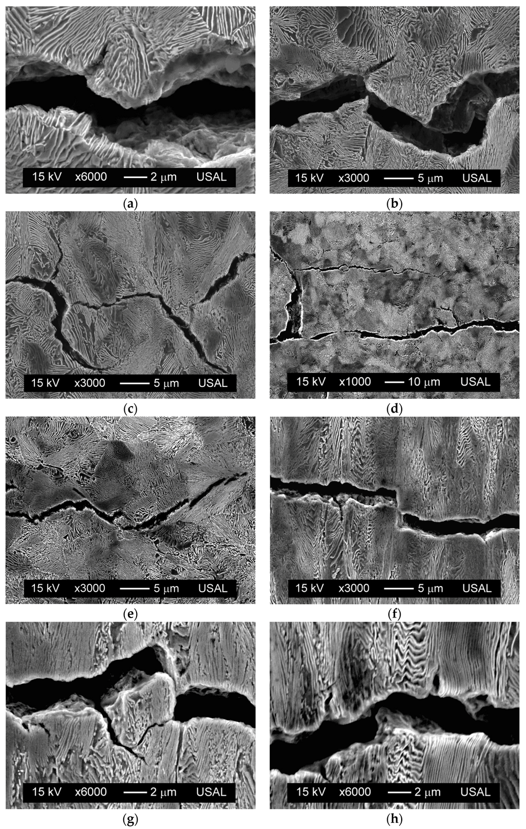 Materials | Special Issue : Surface Modification Methods to Improve ...