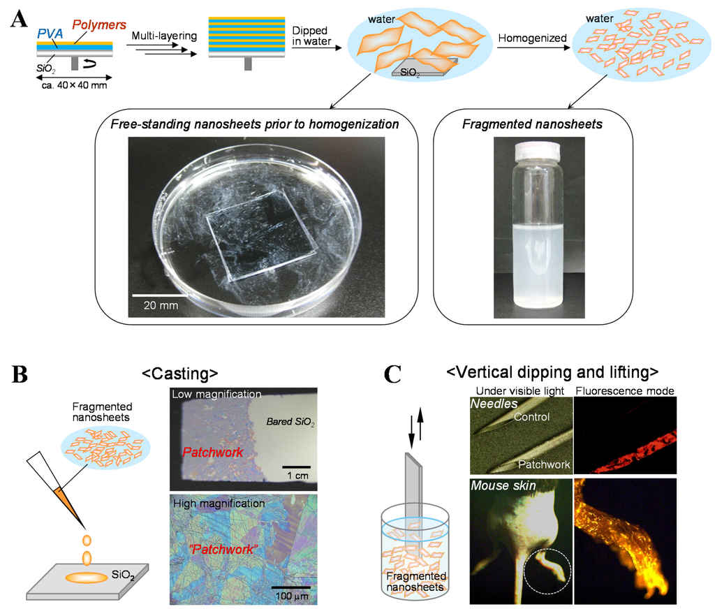 Patchwork Coating of Fragmented Ultra-Thin Films and Their Biomedical ...