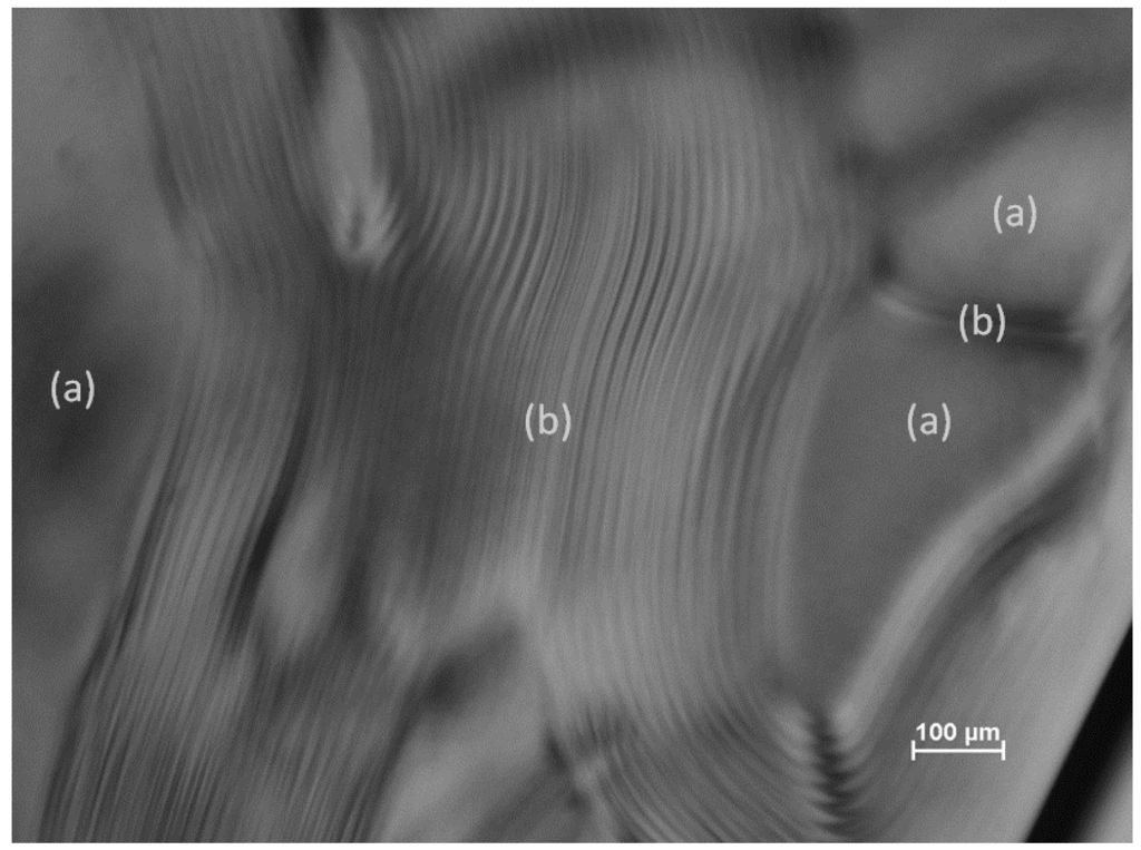 Chiral Nematic Structure of Cellulose Nanocrystal Suspensions and Films ...