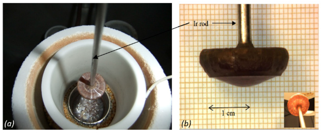 Growth and Characterization of Lead-free Piezoelectric Single Crystals