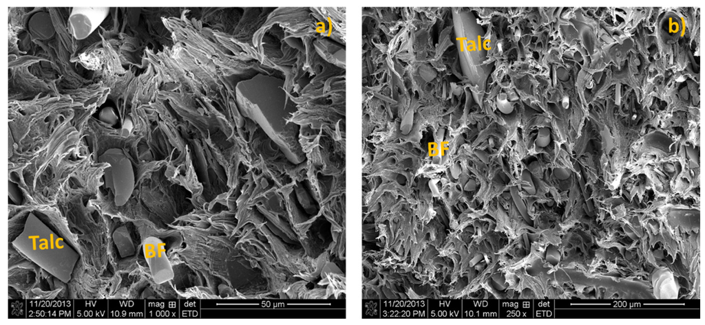Effect of Hybrid Talc-Basalt Fillers in the Shell Layer on Thermal and ...