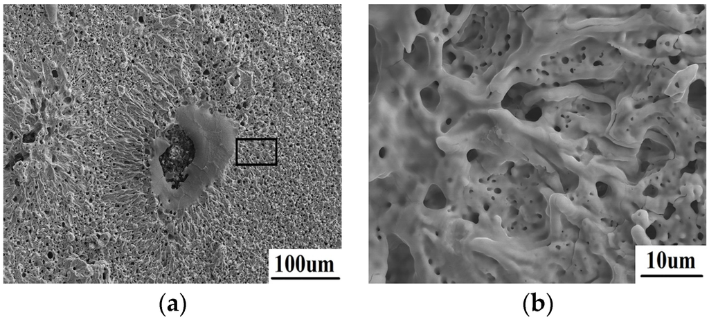 The ZrO2 Formation in ZrB2/SiC Composite Irradiated by Laser
