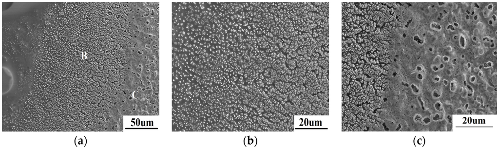 The ZrO2 Formation in ZrB2/SiC Composite Irradiated by Laser