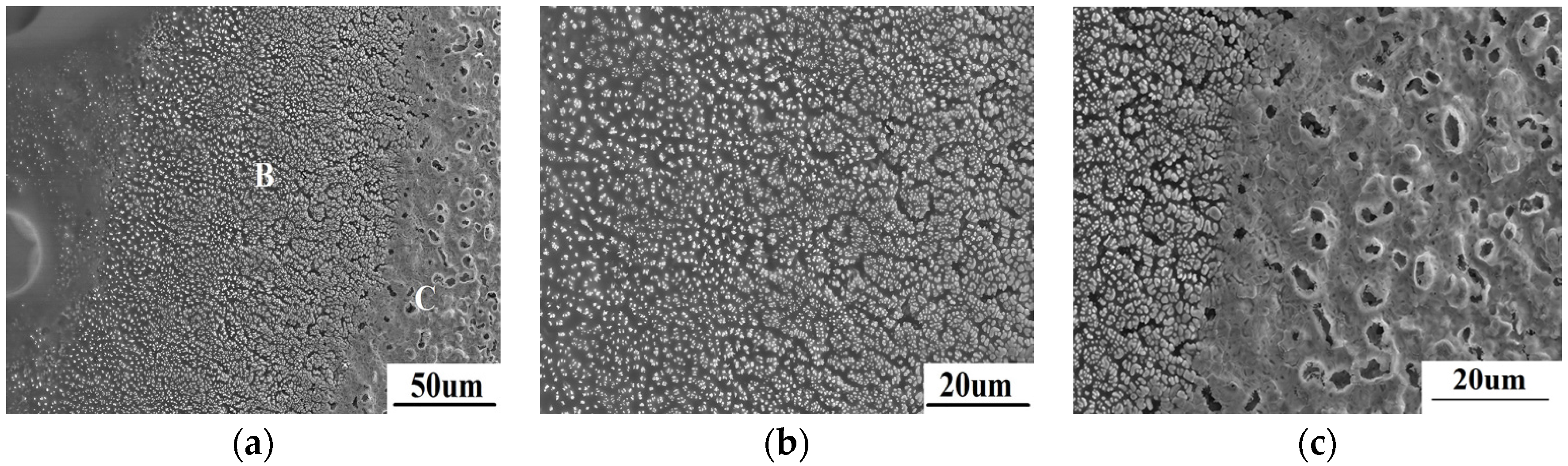 The ZrO2 Formation in ZrB2/SiC Composite Irradiated by Laser