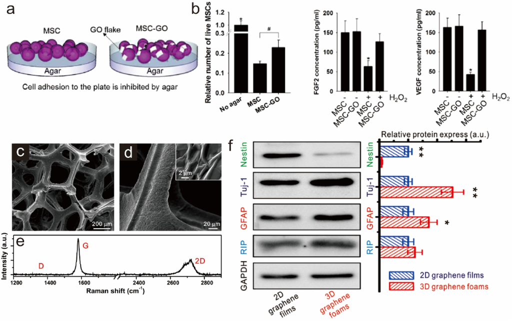 Graphene-Based Materials for Stem Cell Applications