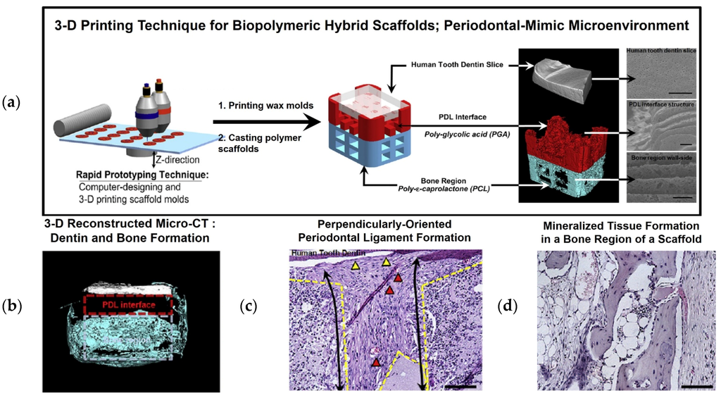 Materials | Special Issue : Regenerative Materials