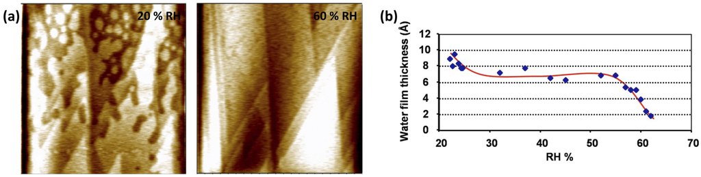 Imaging Water Thin Films in Ambient Conditions Using Atomic Force ...