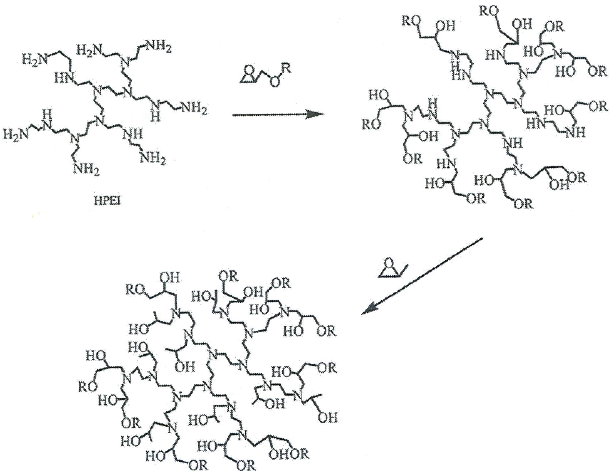 Molecular Mobility in Hyperbranched Polymers and Their Interaction with ...