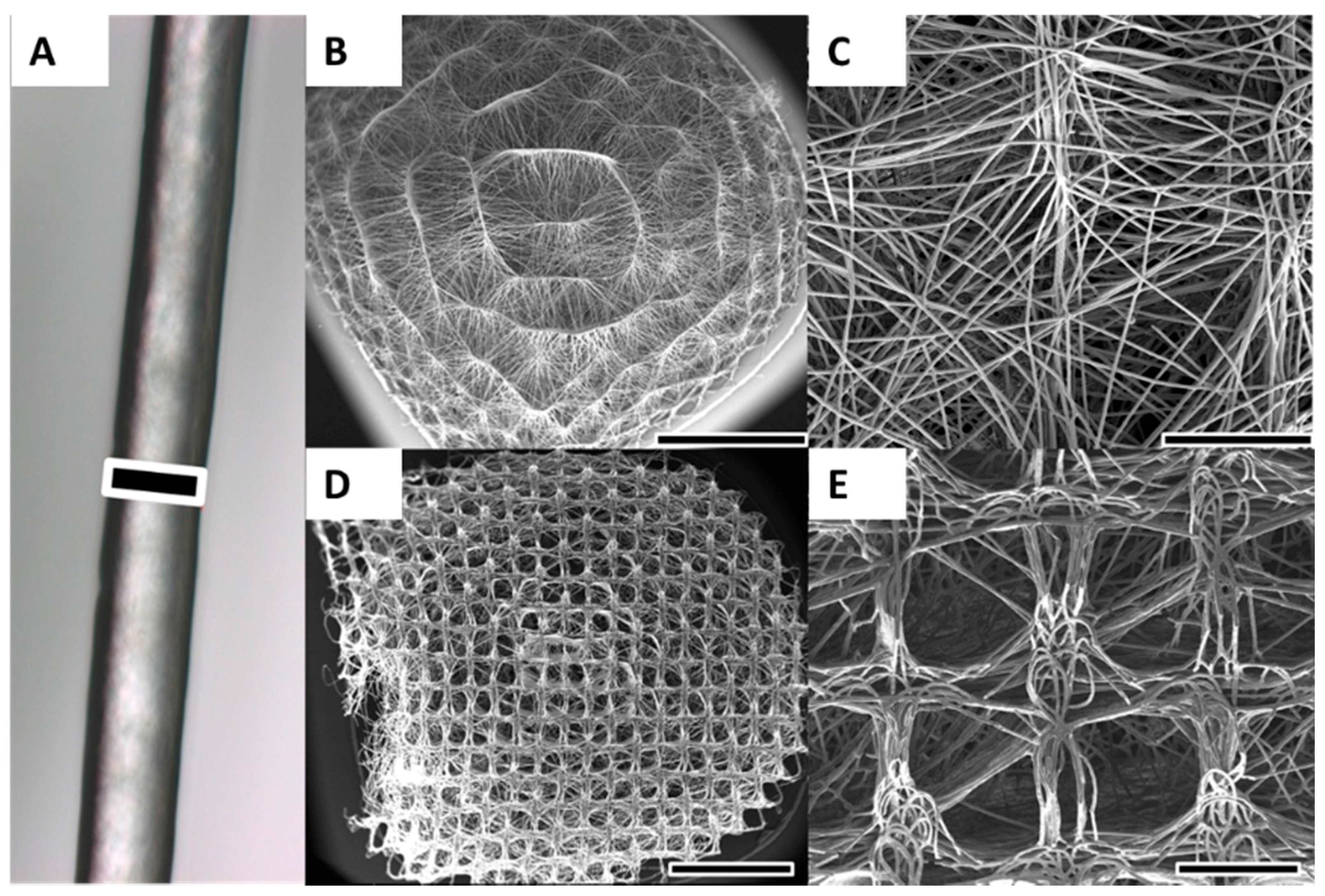 Poly(ε-caprolactone) Scaffolds Fabricated by Melt Electrospinning for Bone Tissue Engineering