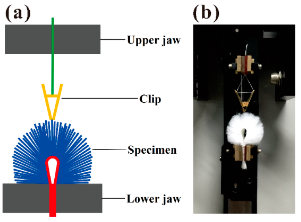 In Vitro Evaluation and Mechanism Analysis of the Fiber Shedding ...