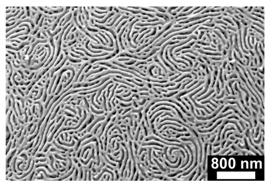 Materials | Special Issue : Bioinspired and Biomimetic Materials