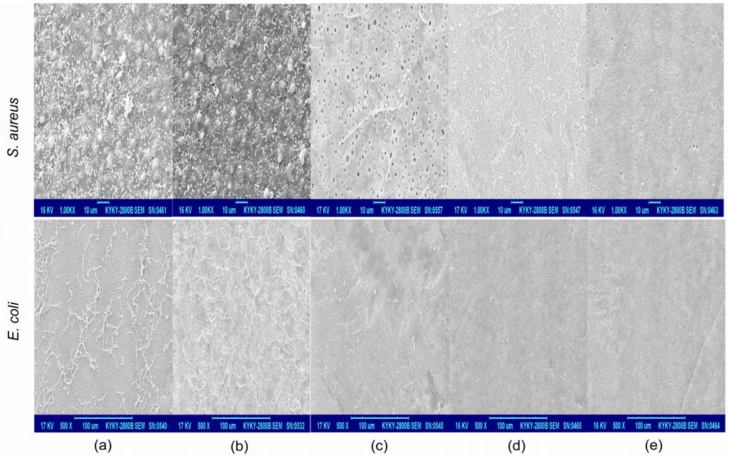 Surface Functionalization of Polyethersulfone Membrane with Quaternary ...