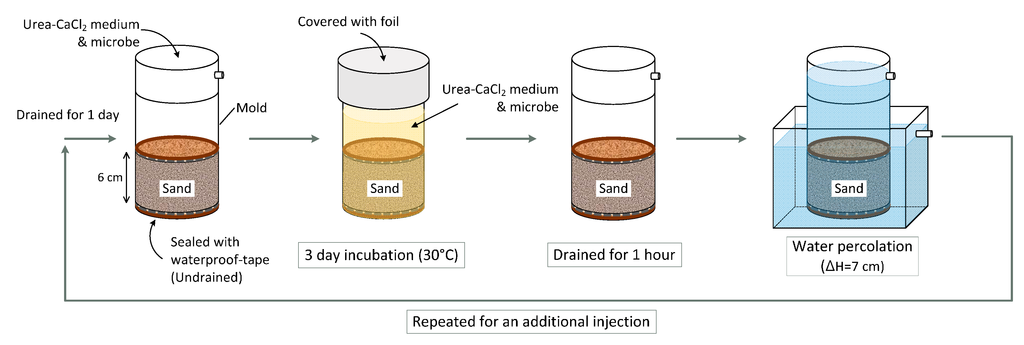 Microbially Induced Calcite Precipitation Employing Environmental Isolates