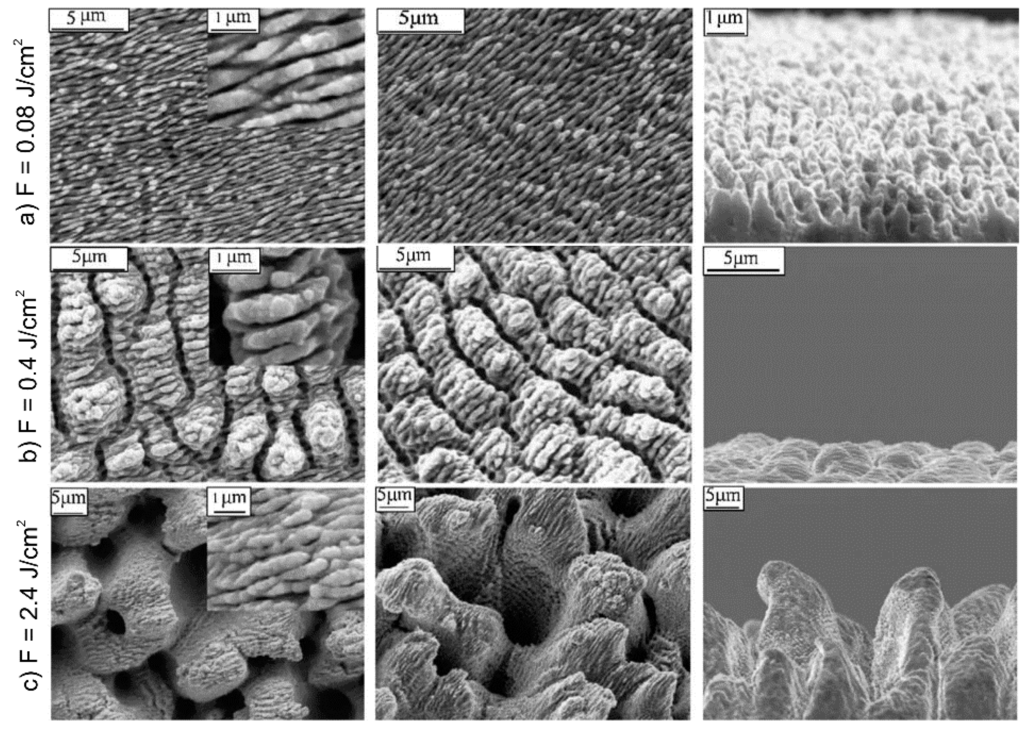 Materials | Special Issue : Bioinspired and Biomimetic Materials