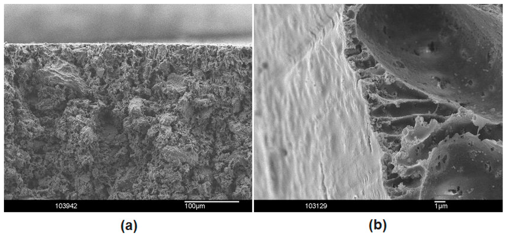 Gas Diffusion Electrodes Manufactured by Casting Evaluation as Air ...