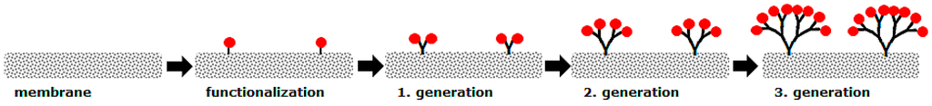 Membrane Functionalization with Hyperbranched Polymers